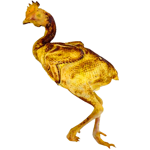 Farm ko Pure Local Bhale Rooster Whole – Rice Spice & Dice